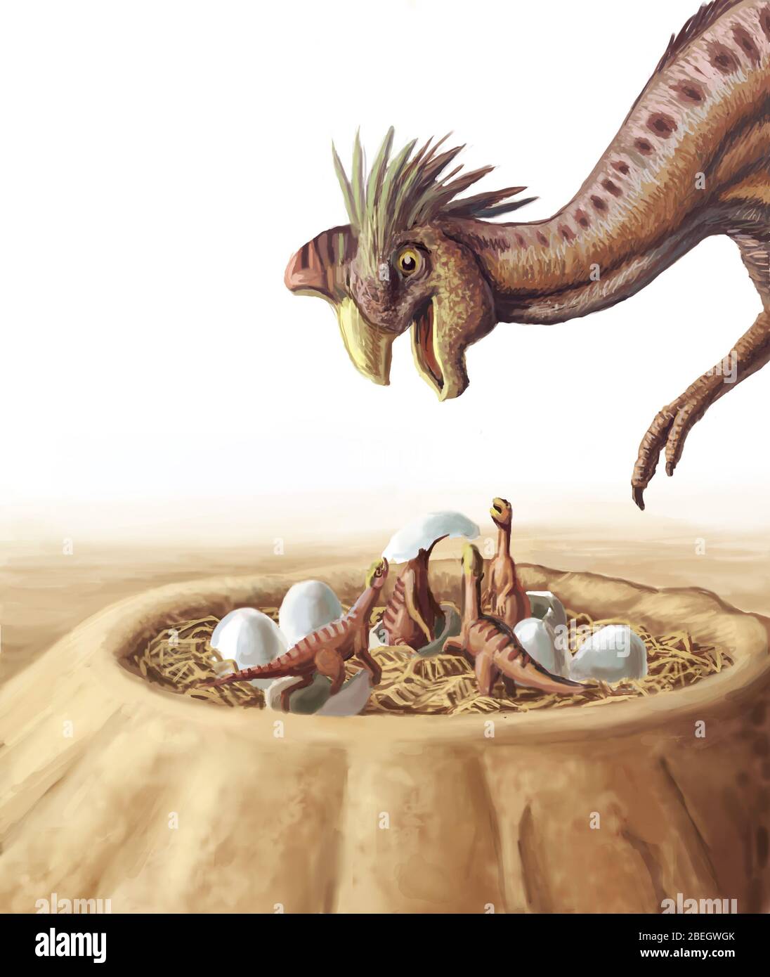 Baby oviraptor -Fotos und -Bildmaterial in hoher Auflösung – Alamy