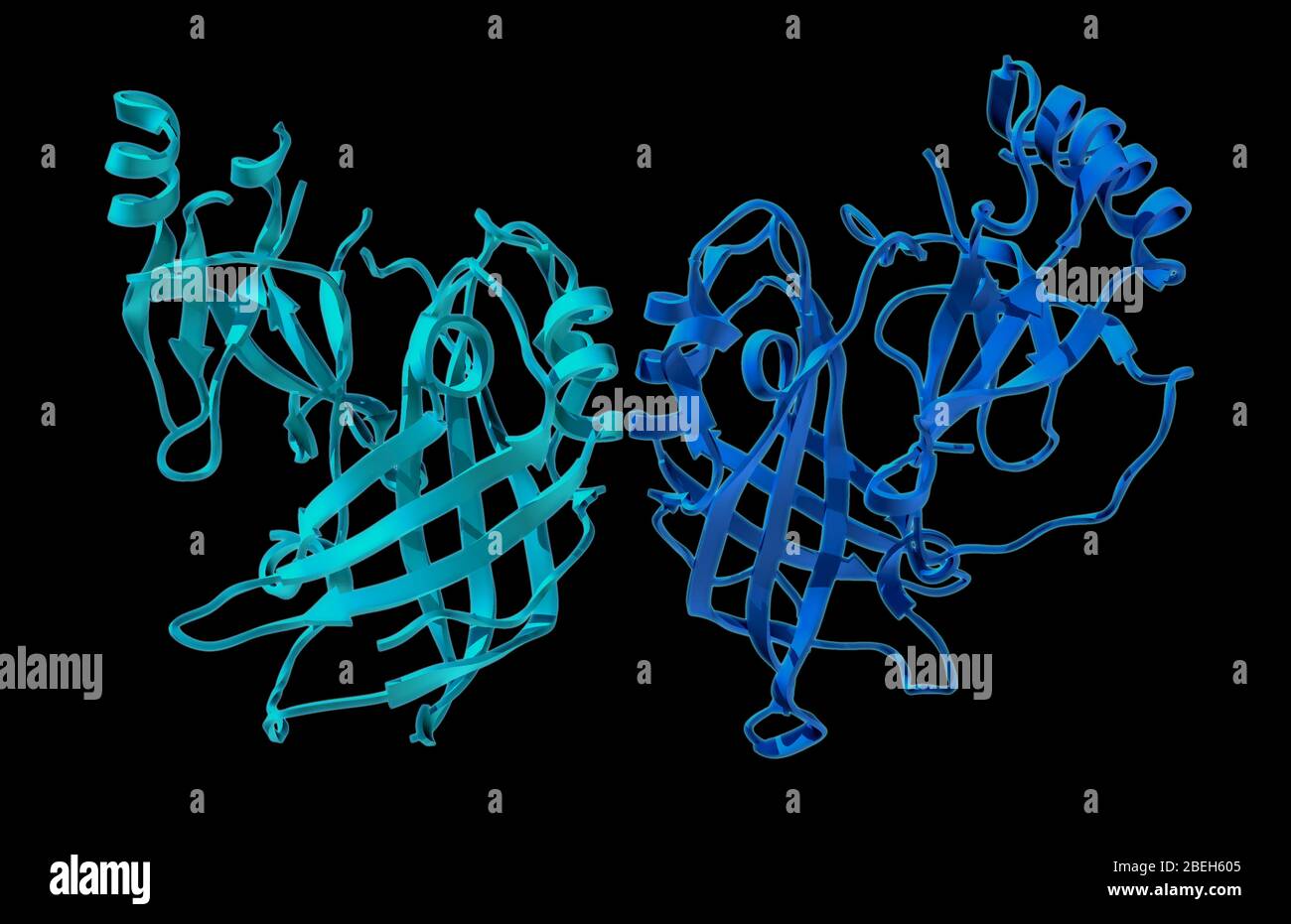 Ebola matrix protein Stockfotos und -bilder Kaufen - Alamy