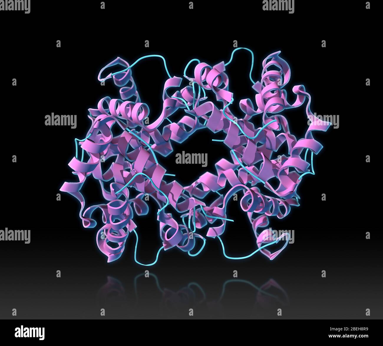 Hemoglobin modell -Fotos und -Bildmaterial in hoher Auflösung – Alamy