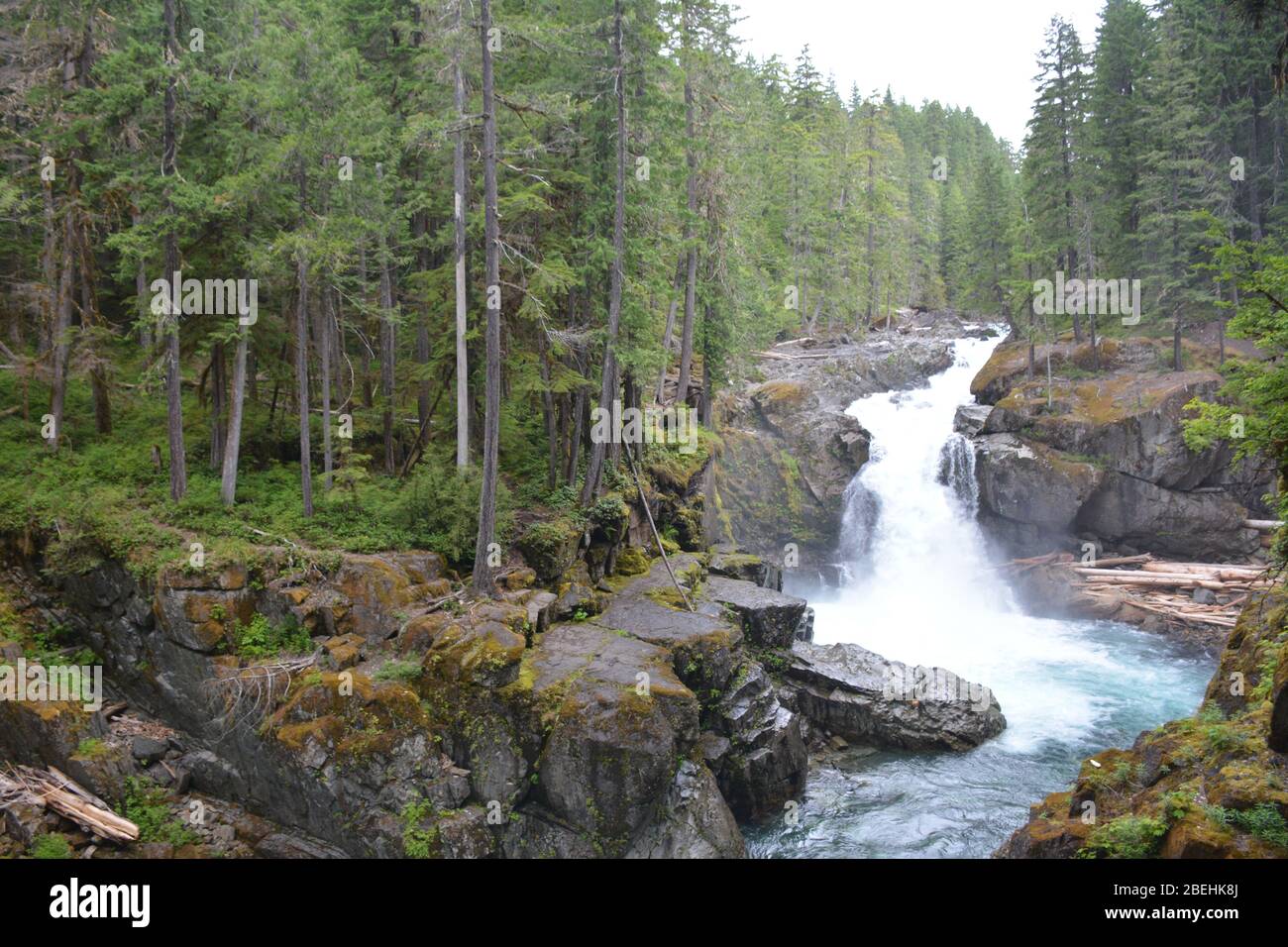 Parque nacional de silver falls state park -Fotos und -Bildmaterial in ...