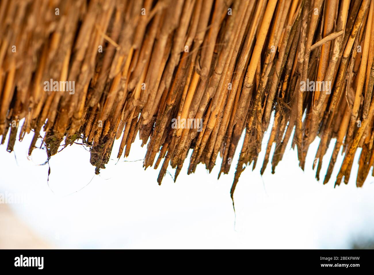 Dach reet -Fotos und -Bildmaterial in hoher Auflösung – Alamy