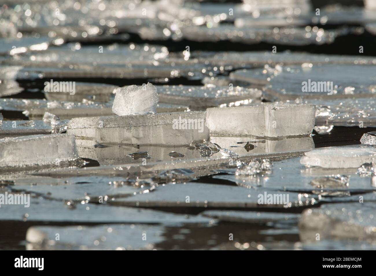Zerquetschen Eis Stockfotos und -bilder Kaufen - Alamy