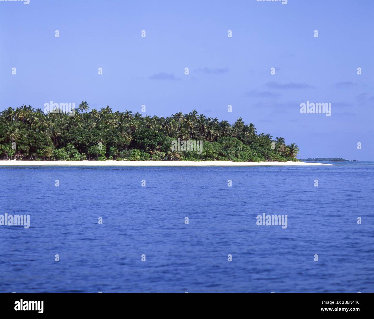 Tropische Insel vom Meer, Kuda Bandos Insel, Kaafu Atoll, Republik ...