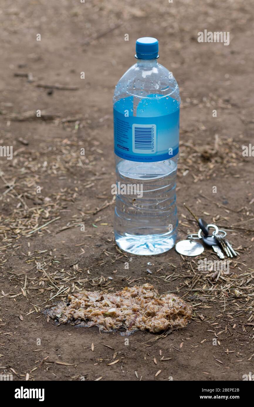 Nach dem Trinken auf dem Campingplatz mit Erbrochenem, einer Flasche ...