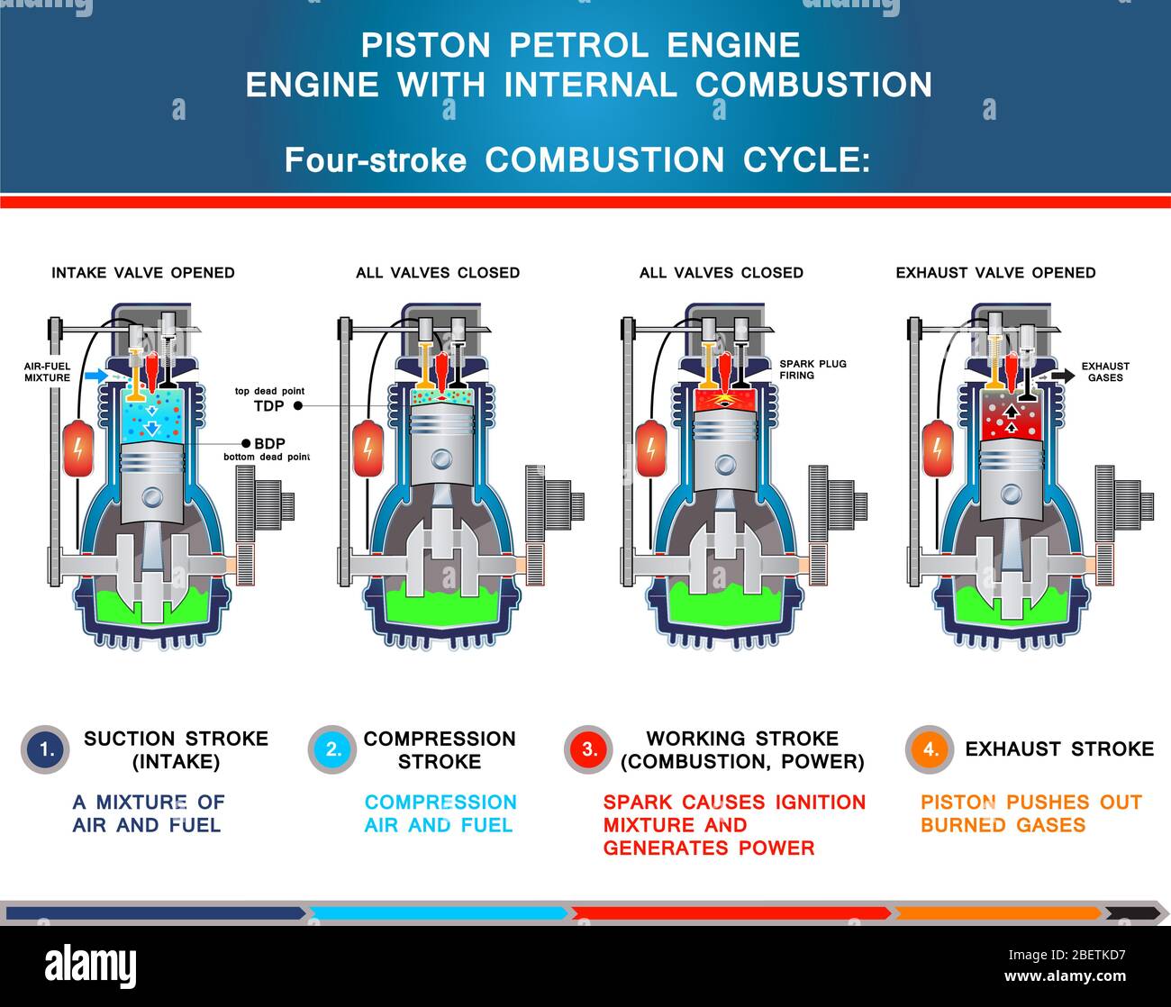Kolben-Benzinmotor, struktureller Querschnitt und Viertakt ...