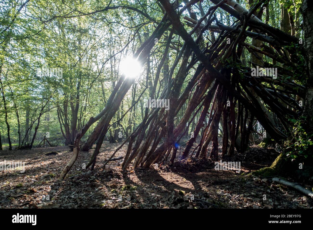 Uk bushcraft -Fotos und -Bildmaterial in hoher Auflösung – Alamy