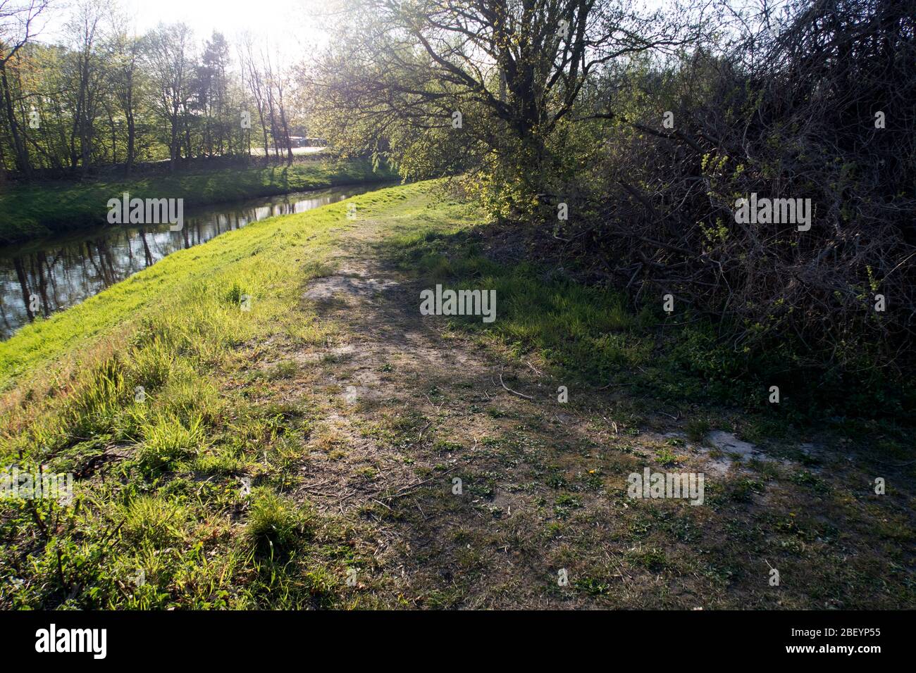 Natur und Landschaft der Wälder rund um meppen und lathen im emsland ...