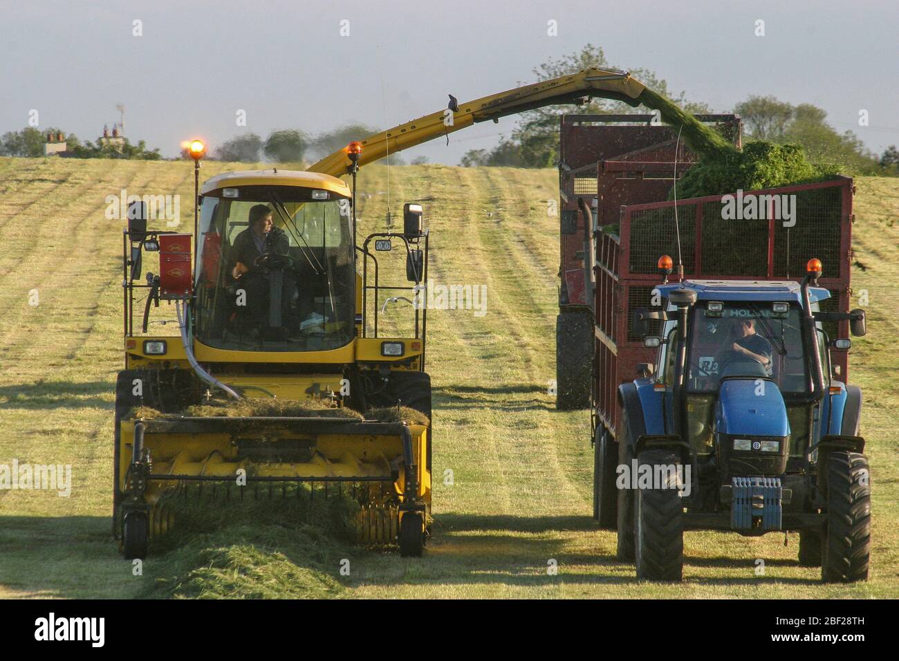 Traktor harvester federschnitt -Fotos und -Bildmaterial in hoher ...