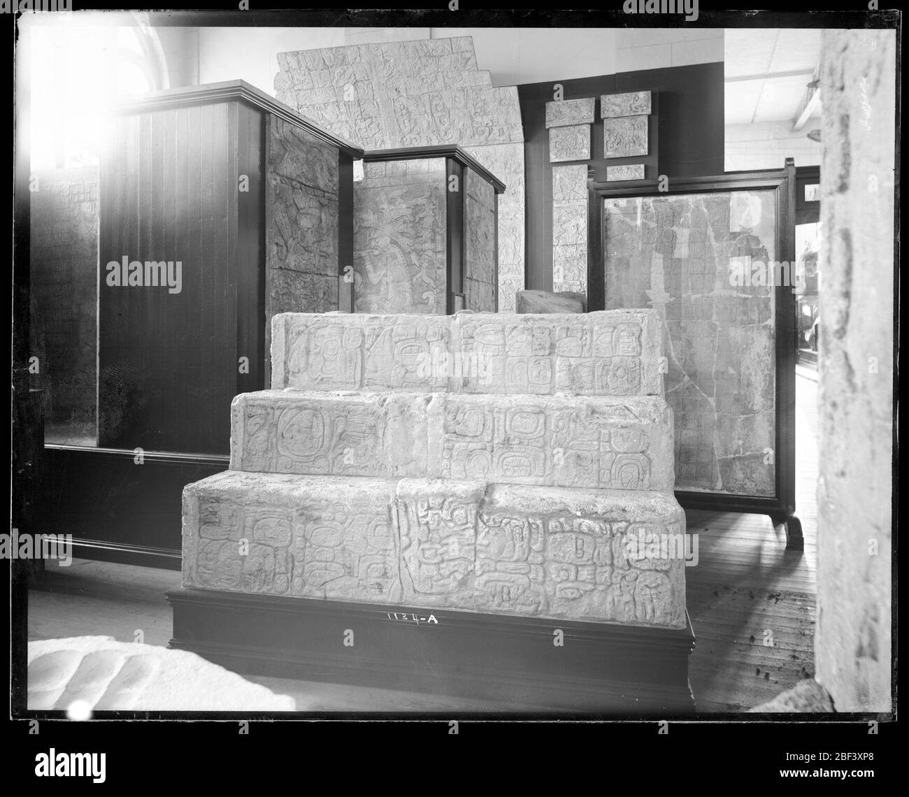 Lorillard Collection Abgüsse. Siehe auch Record Unit 95, Box 79.Abgüsse ...