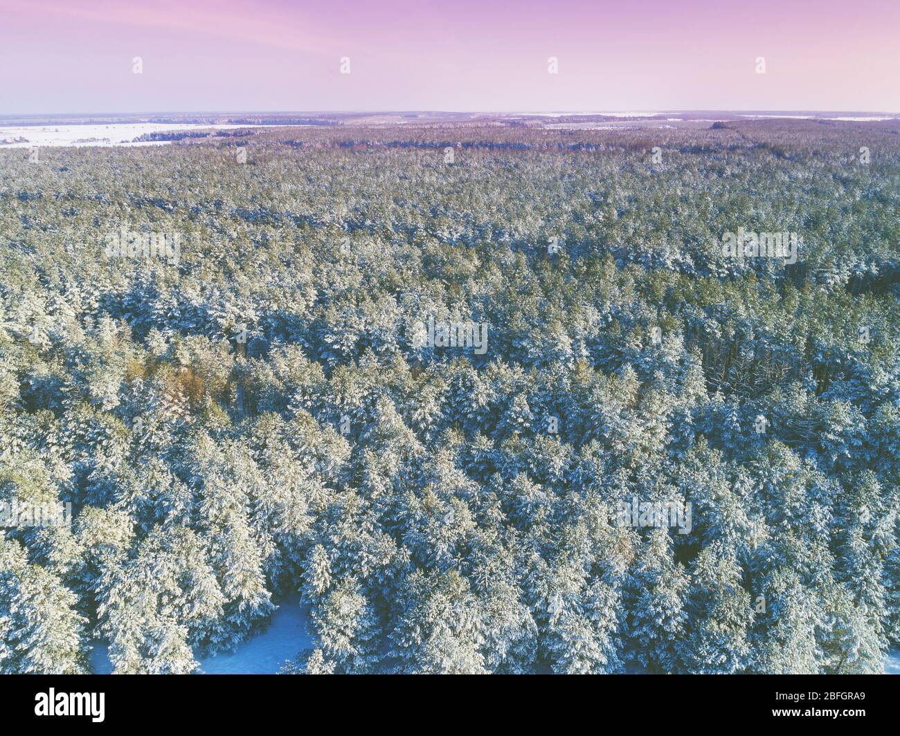 Wald Im Winter Stockfotos und -bilder Kaufen - Alamy