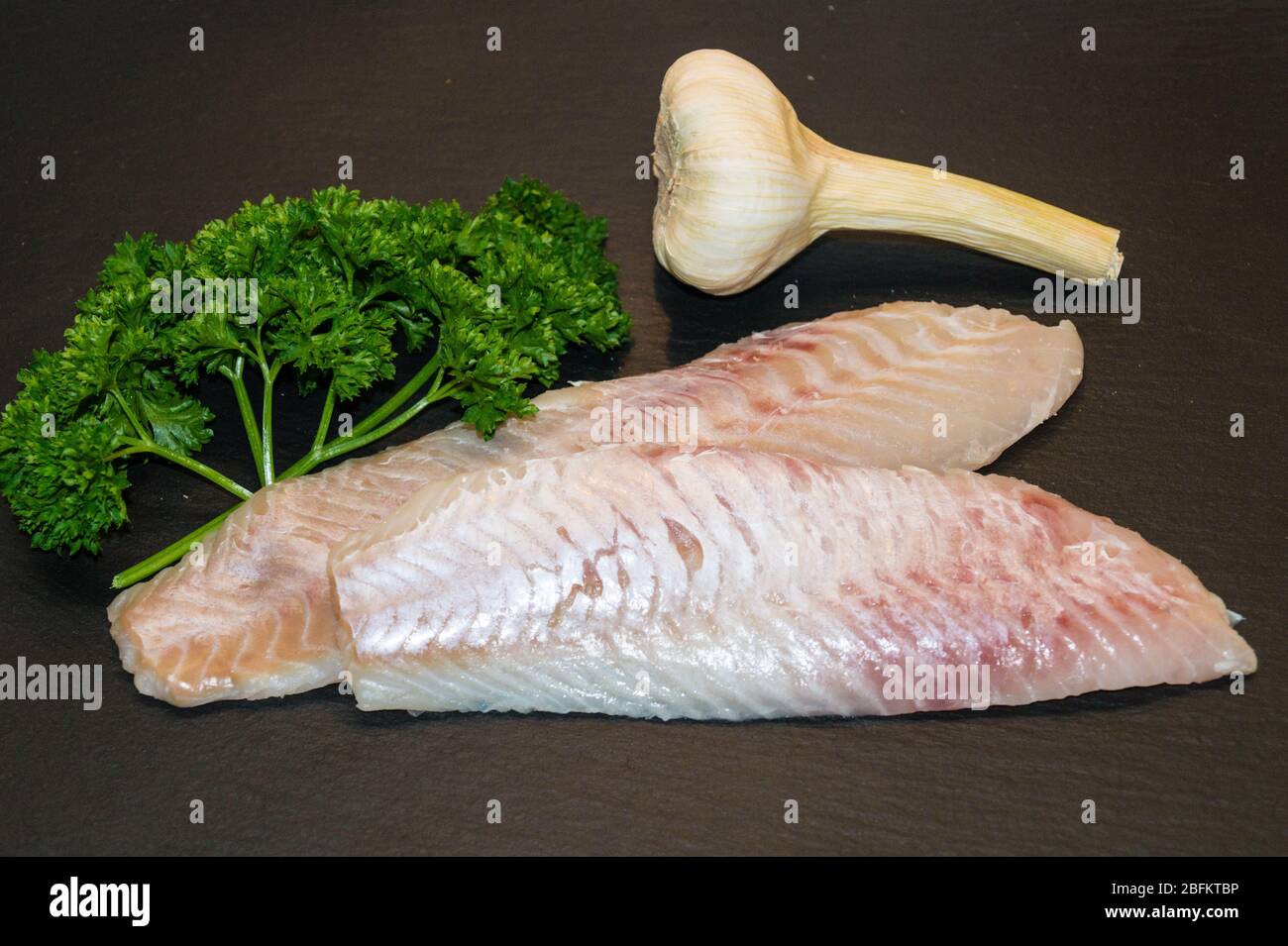 Sebastes norvegicus -Fotos und -Bildmaterial in hoher Auflösung – Alamy