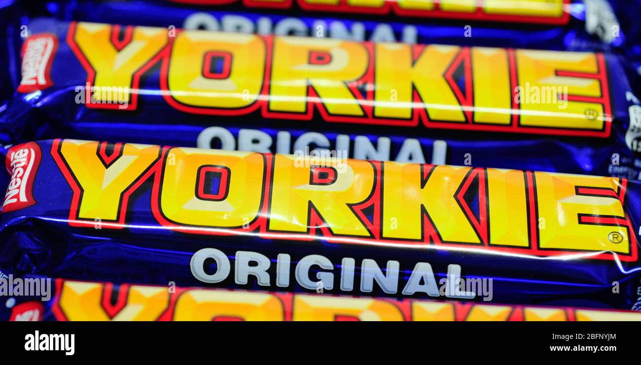 Yorkie Bar Stockfotos und -bilder Kaufen - Alamy