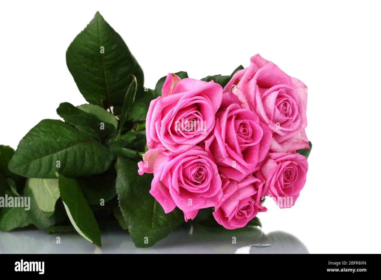 Viele rosa rosen -Fotos und -Bildmaterial in hoher Auflösung – Alamy