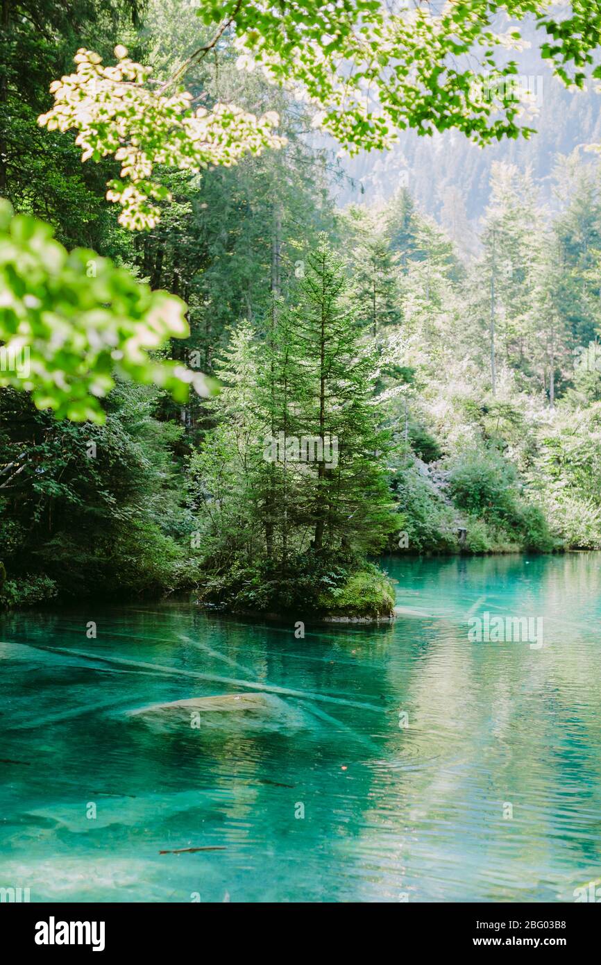 Naturpark blausee -Fotos und -Bildmaterial in hoher Auflösung – Alamy