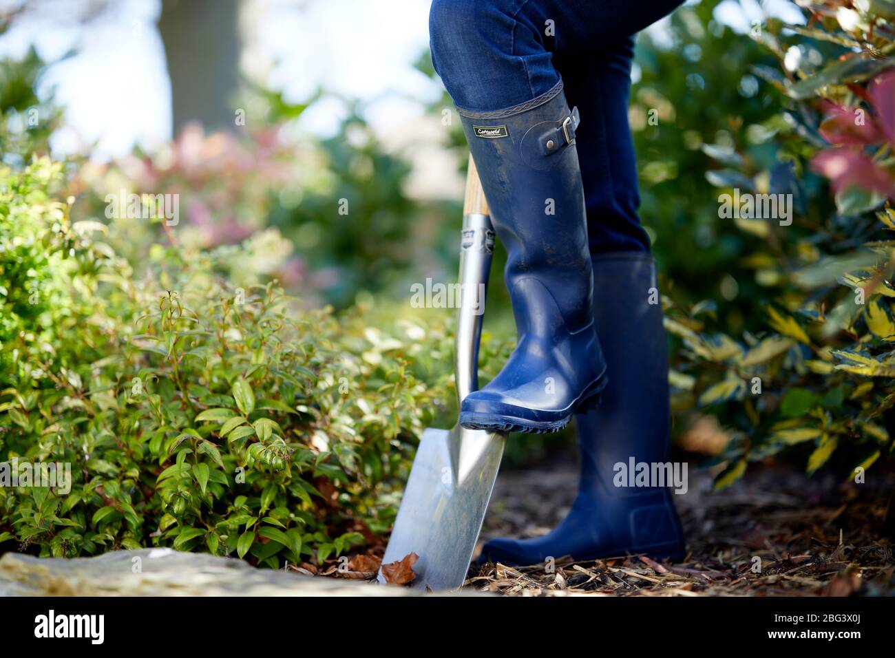 Hausgarten gartenbau -Fotos und -Bildmaterial in hoher Auflösung – Alamy