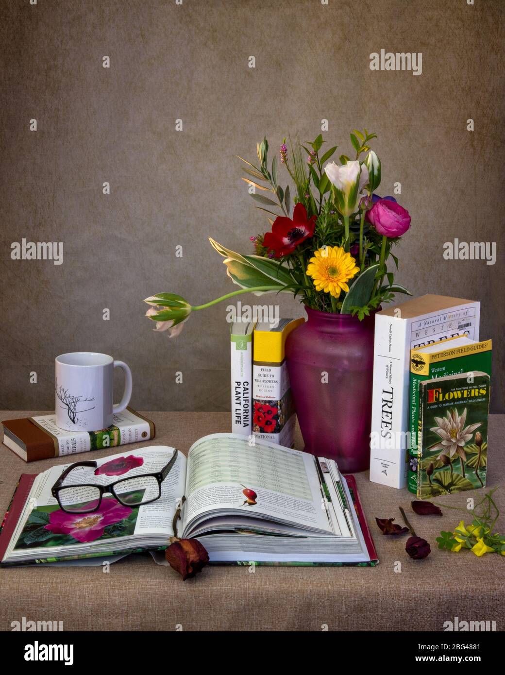 Moderne taxonomie -Fotos und -Bildmaterial in hoher Auflösung – Alamy