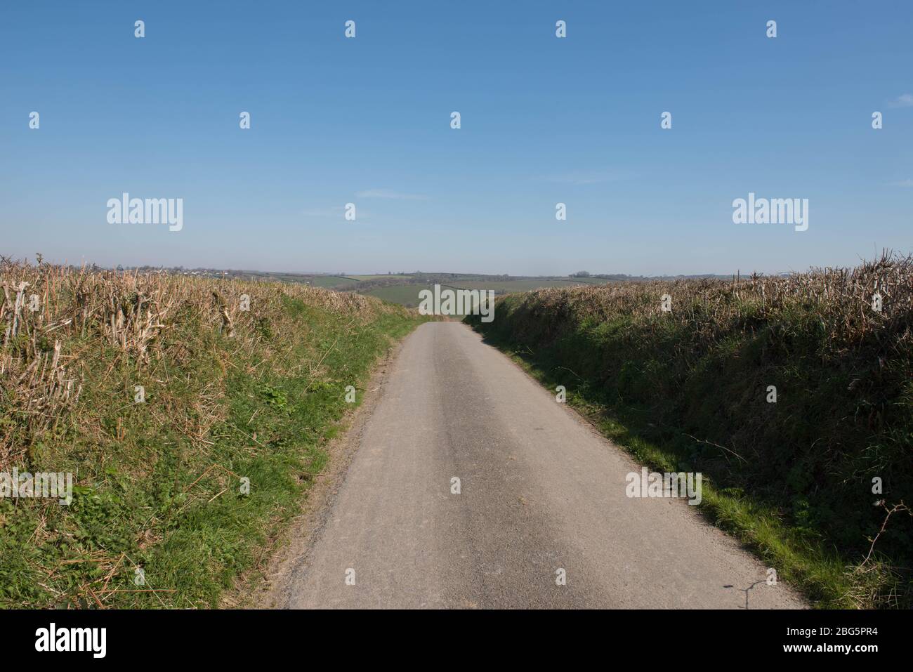 Devon hedge bank -Fotos und -Bildmaterial in hoher Auflösung – Alamy