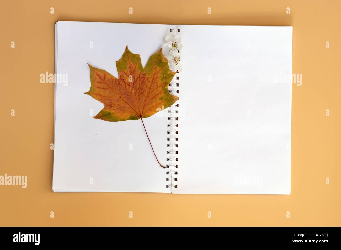 Cop mit notizblock -Fotos und -Bildmaterial in hoher Auflösung – Alamy