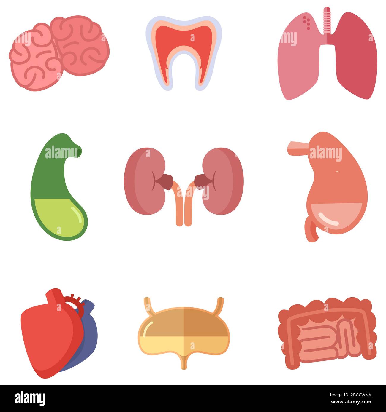 Menschliche organe emoji Stockfotos und -bilder Kaufen - Alamy