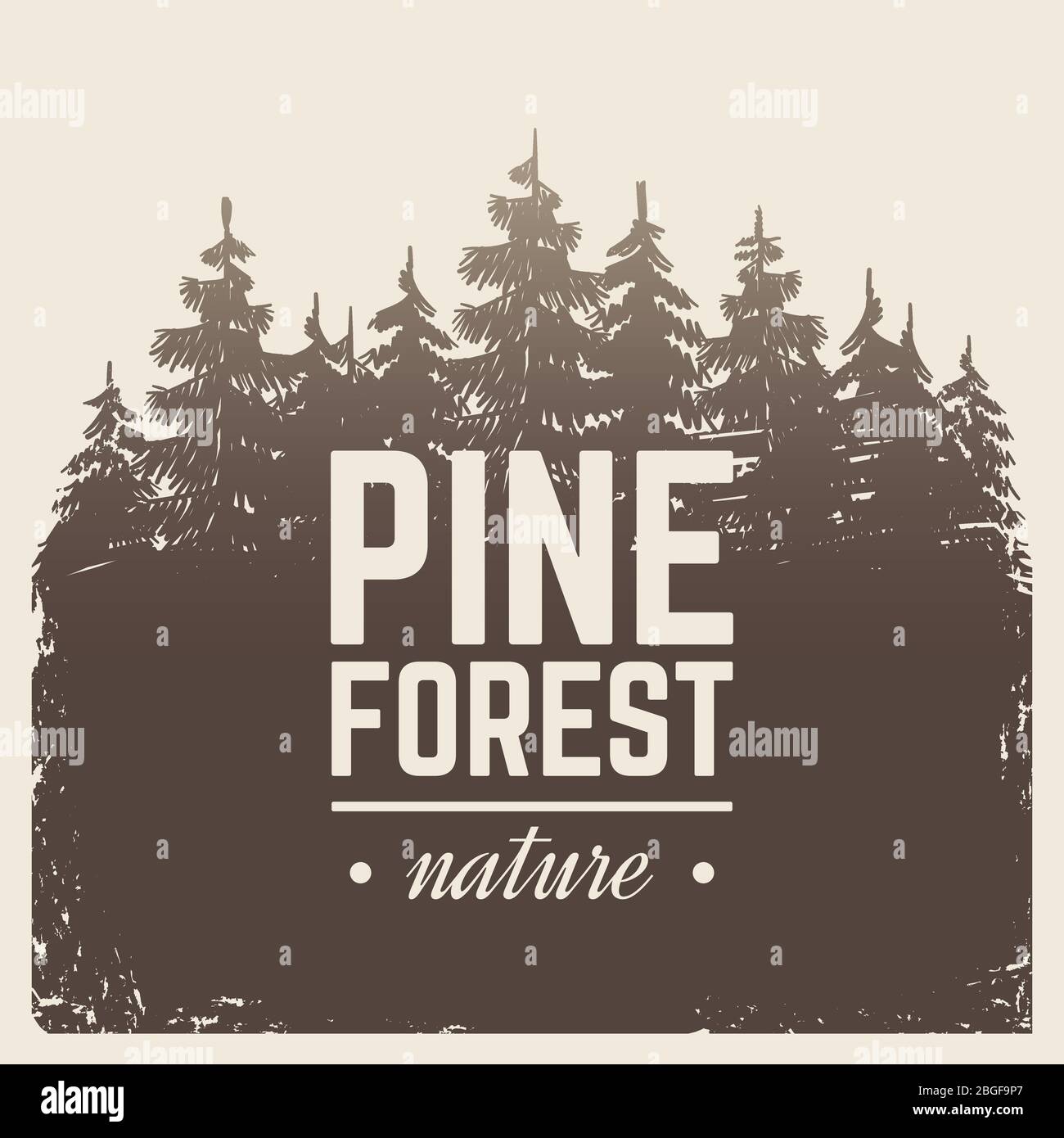 Skizze Vintage Natur Kiefer und Tanne Wald in nebeligen Nebel Cartoon ...