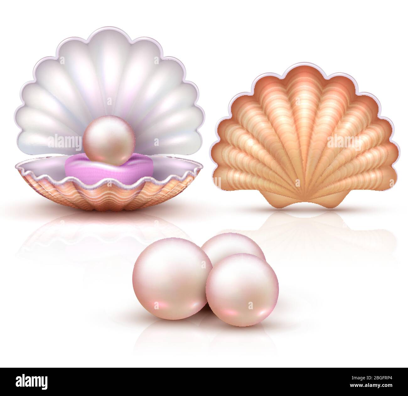 Offene muschelschalen Stock-Vektorgrafiken kaufen - Alamy