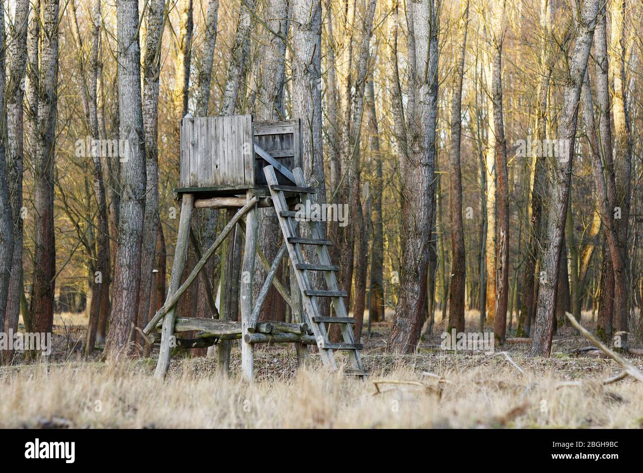 Ralf jager -Fotos und -Bildmaterial in hoher Auflösung – Alamy