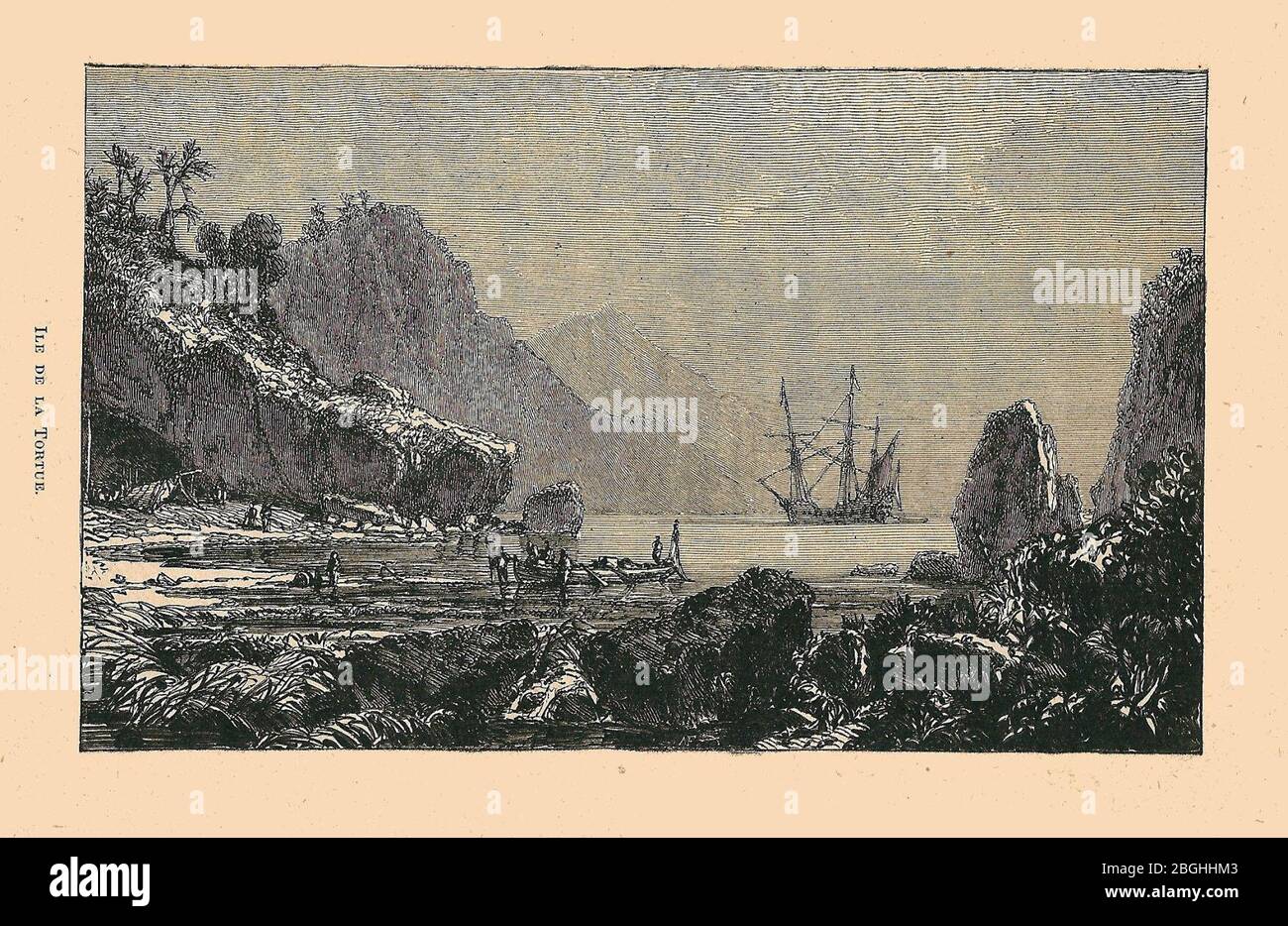 île de la tortue -Fotos und -Bildmaterial in hoher Auflösung – Alamy