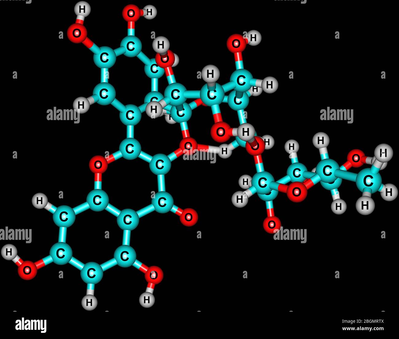 Rutin rutosid -Fotos und -Bildmaterial in hoher Auflösung – Alamy