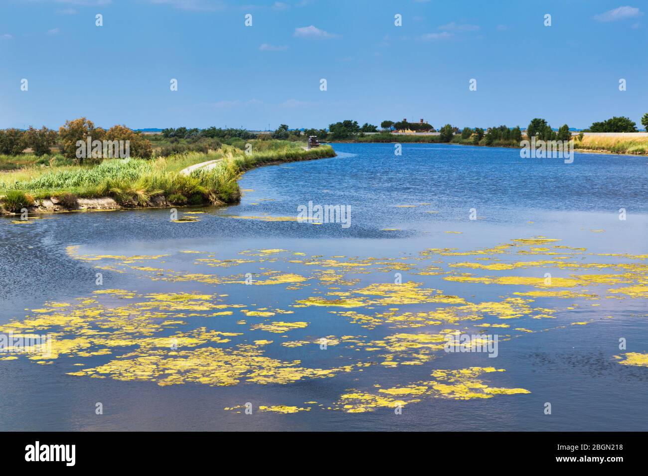 Po delta regionalpark -Fotos und -Bildmaterial in hoher Auflösung – Alamy