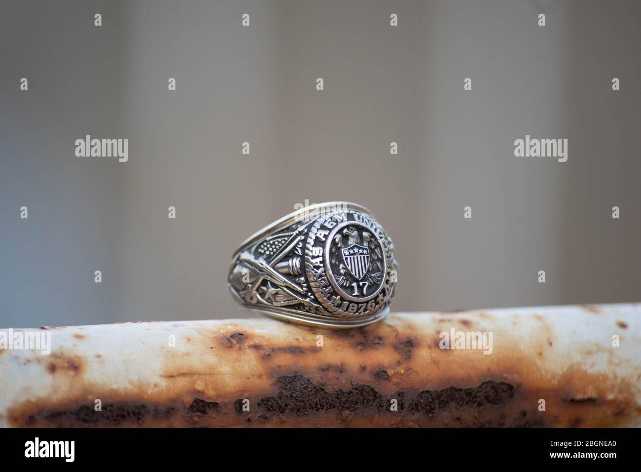 Simbolo dello studente -Fotos und -Bildmaterial in hoher Auflösung – Alamy