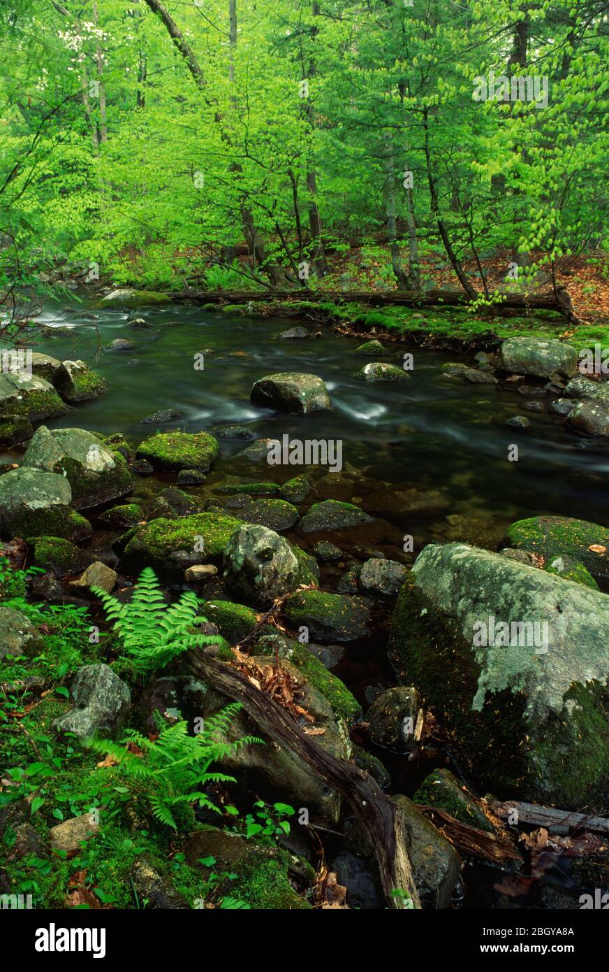 Steiniger brook state park -Fotos und -Bildmaterial in hoher Auflösung ...