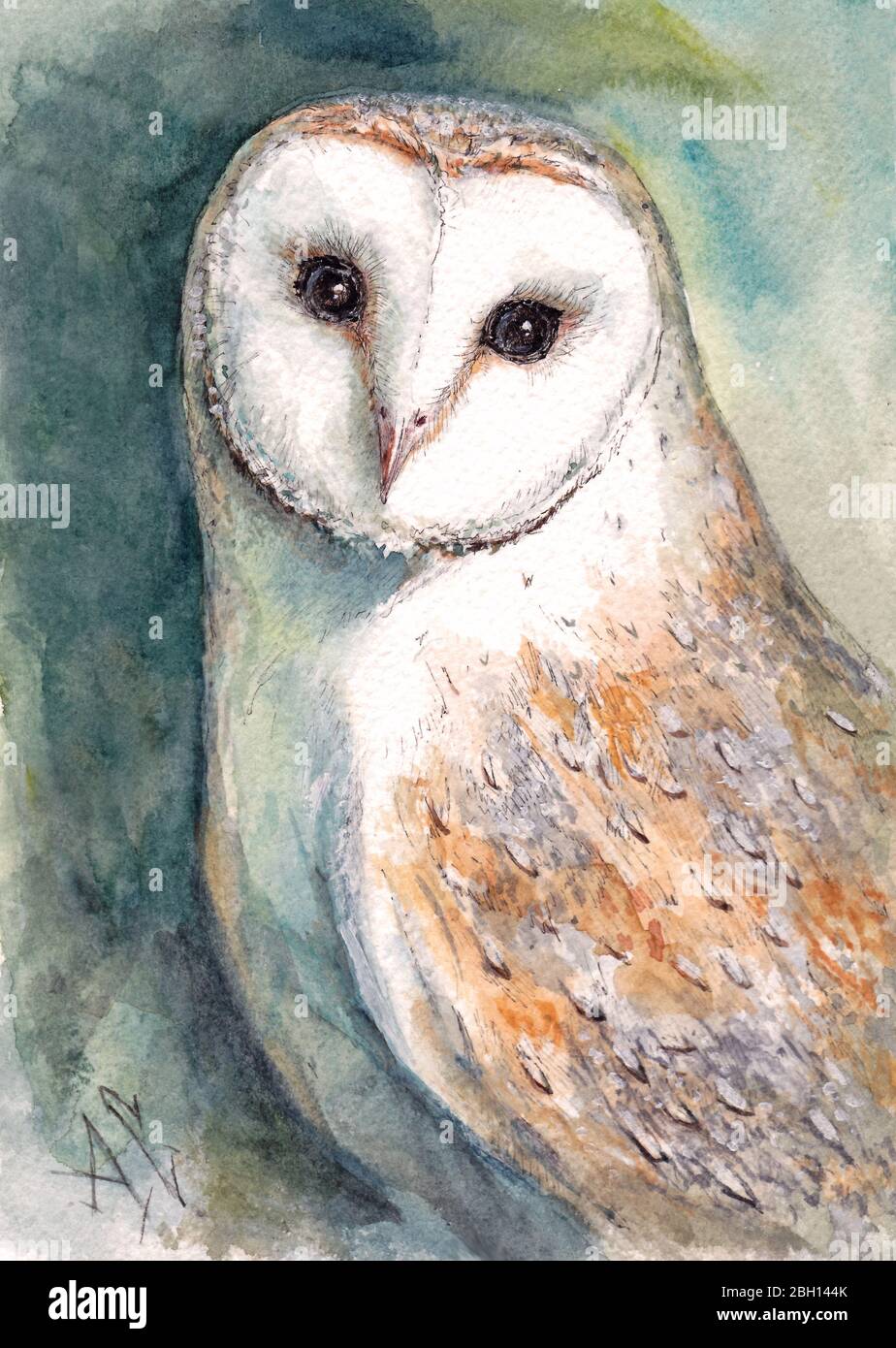 Aquarell Scheune Eule Natur Hand gezeichnet Illustration ...