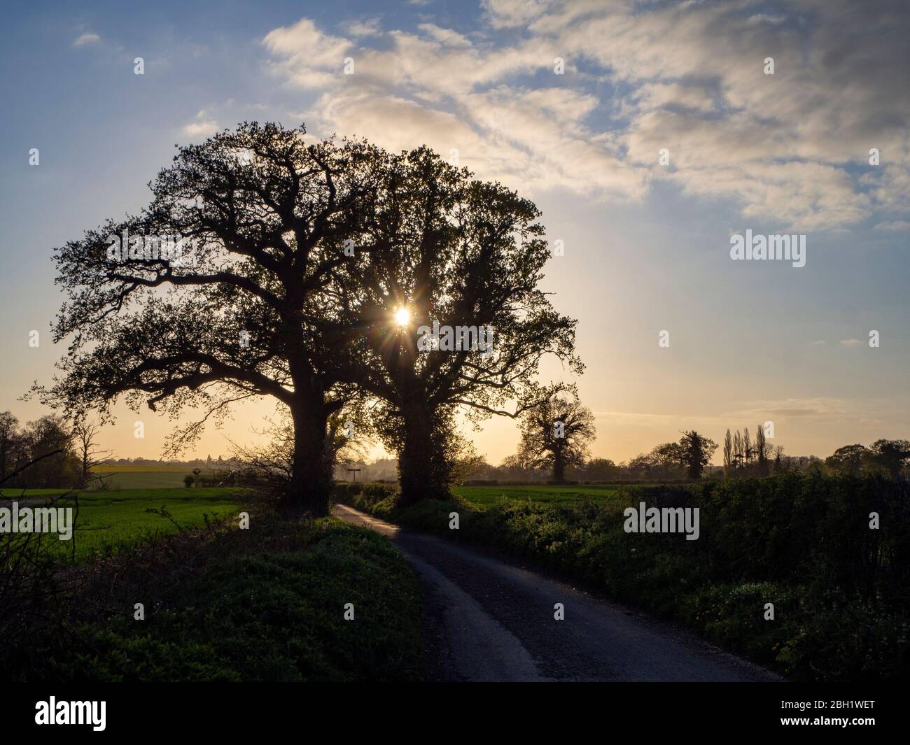 Sonne durch landhecke -Fotos und -Bildmaterial in hoher Auflösung – Alamy