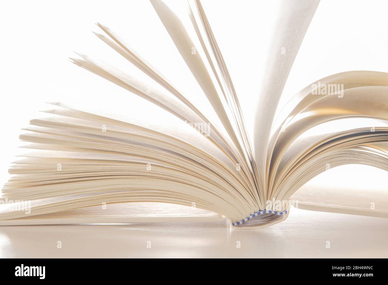 Einzelnes buch -Fotos und -Bildmaterial in hoher Auflösung – Alamy