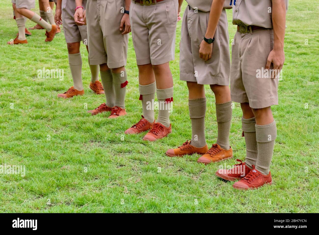 Boy scout cub scout portrait -Fotos und -Bildmaterial in hoher ...