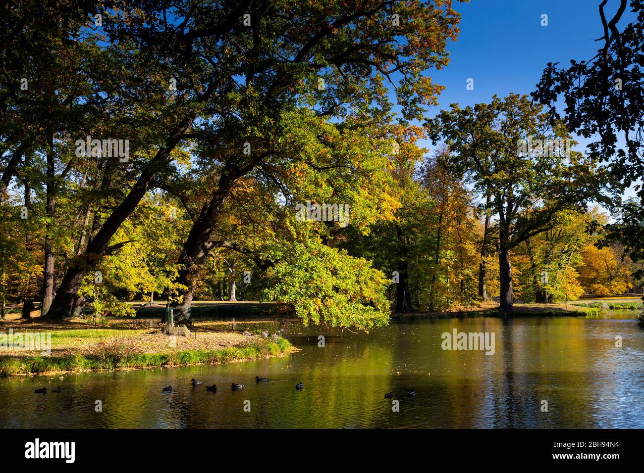Muskau park park muzakowski muskauer park -Fotos und -Bildmaterial in ...