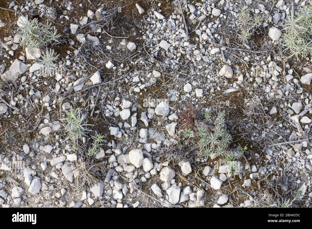 Den Boden Schrubben Stockfotos und -bilder Kaufen - Alamy