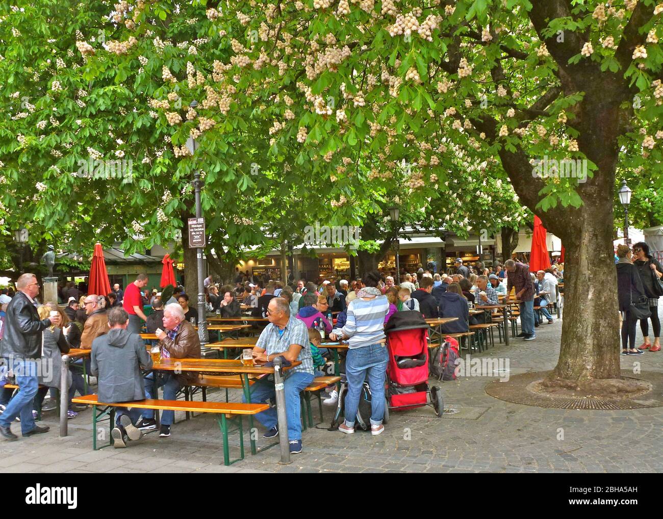 Germany bavaria munich viktualienmarkt beer -Fotos und -Bildmaterial in ...