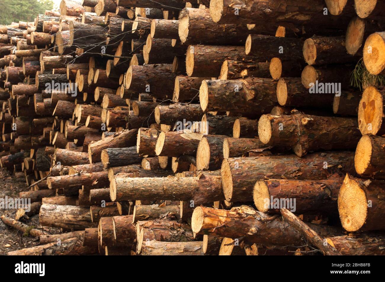 Stapeln von holz -Fotos und -Bildmaterial in hoher Auflösung – Alamy