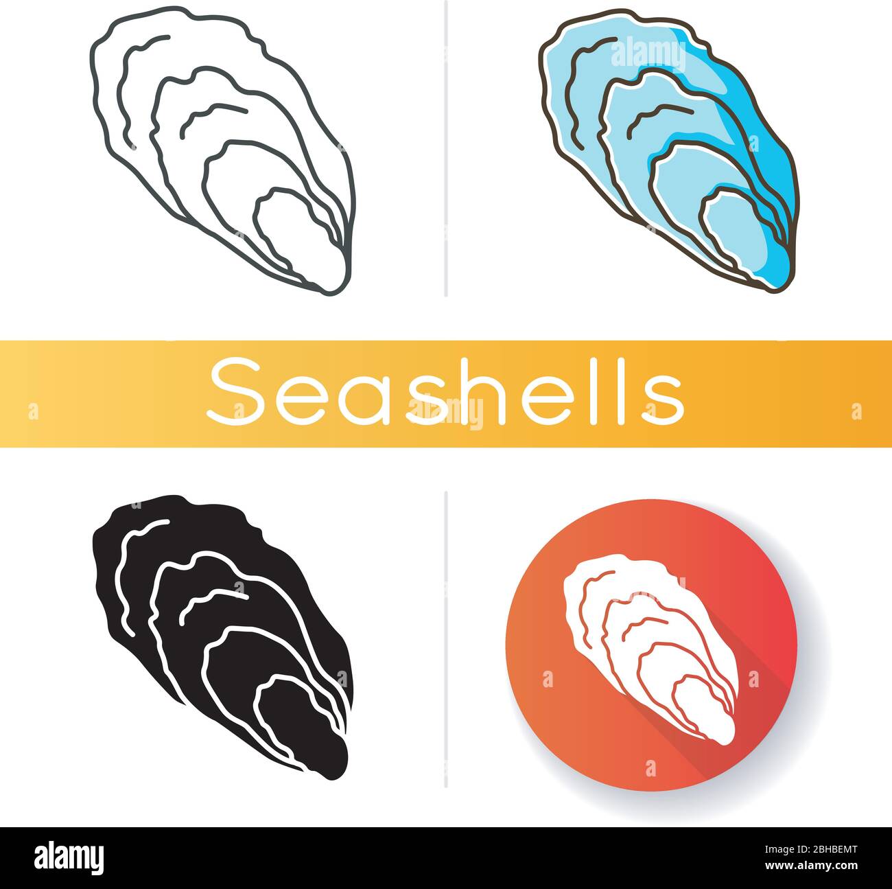 Conchology Stock-Vektorgrafiken kaufen - Alamy