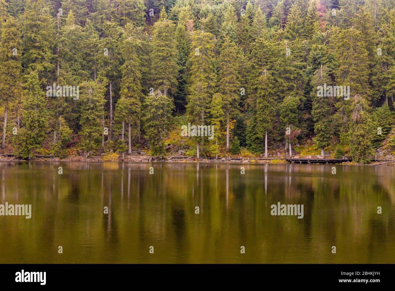 Mummelsee See und Wanderweg im Schwarzwald, Deutschland Stockfotografie ...