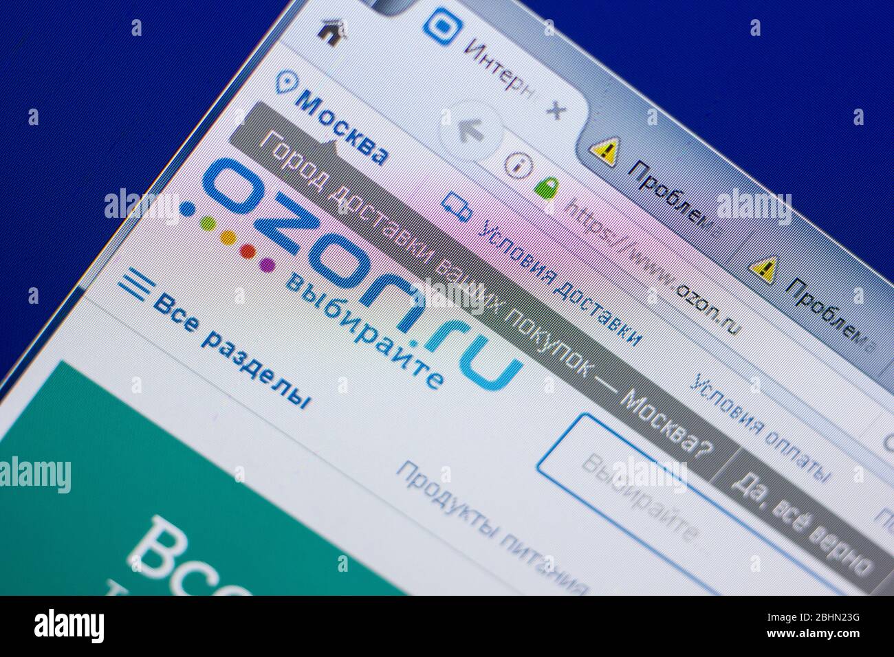 Rjasan, Russland - 13. Mai 2018: Ozon Website auf dem Display des PC, url - Ozon.ru ...