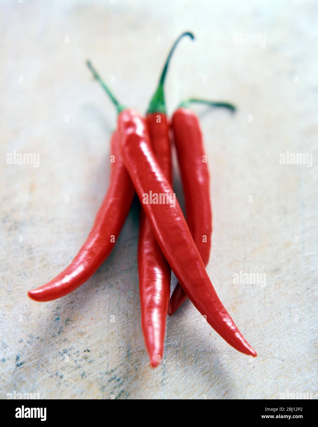 Hot chilly peppers -Fotos und -Bildmaterial in hoher Auflösung – Alamy