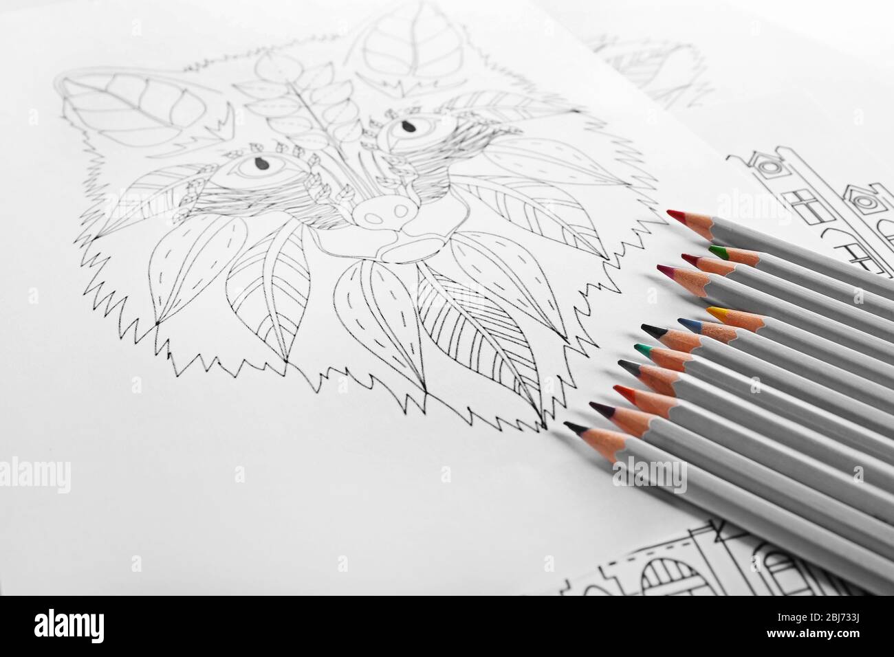 Fox doodle -Fotos und -Bildmaterial in hoher Auflösung – Alamy