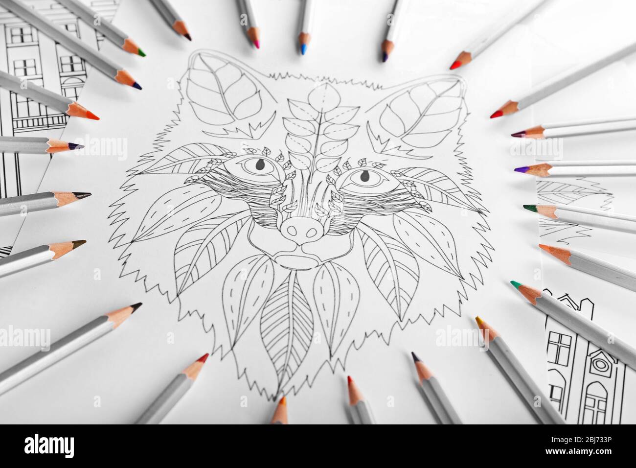 Fox doodle -Fotos und -Bildmaterial in hoher Auflösung – Alamy