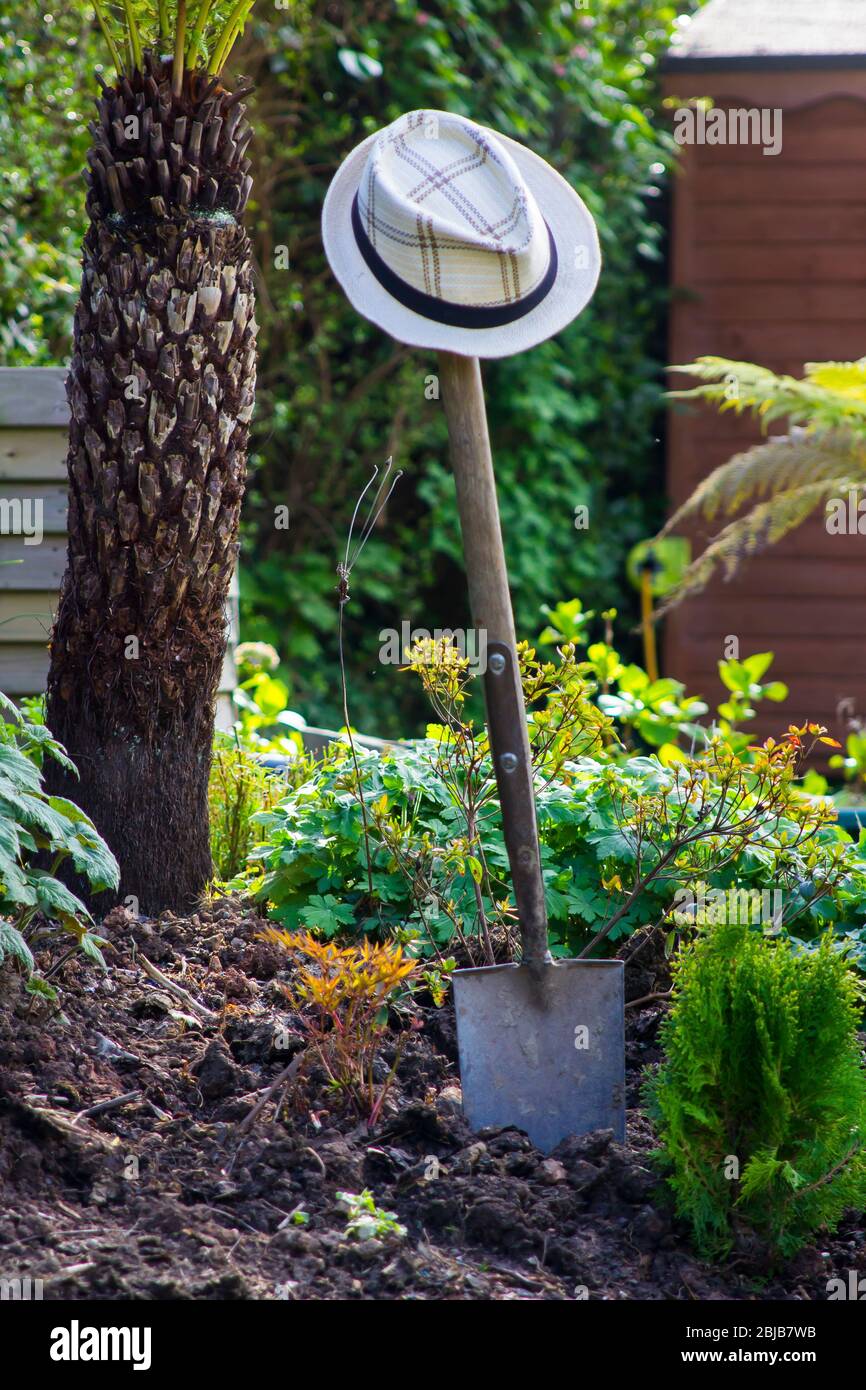 Perennials spade -Fotos und -Bildmaterial in hoher Auflösung – Alamy