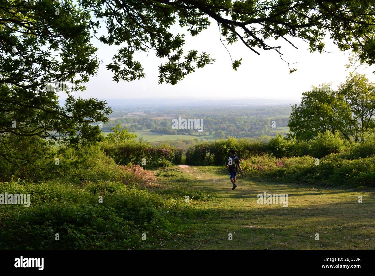 Blick über den Weald bis zum Ashdown Forest von One Tree Hill ...