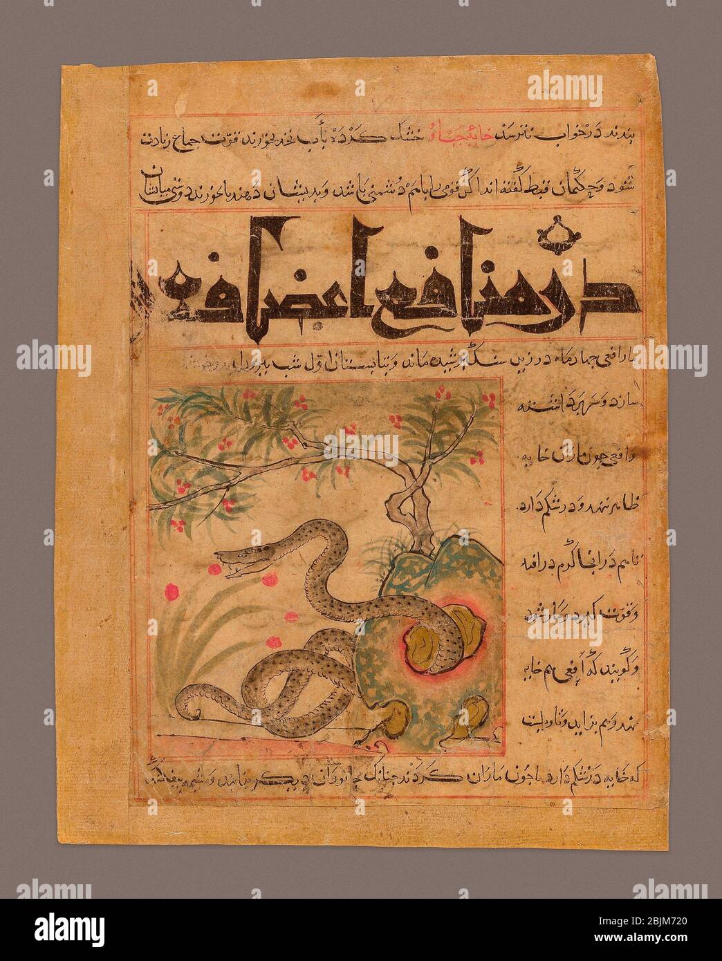 Manafi al hayawan -Fotos und -Bildmaterial in hoher Auflösung – Alamy