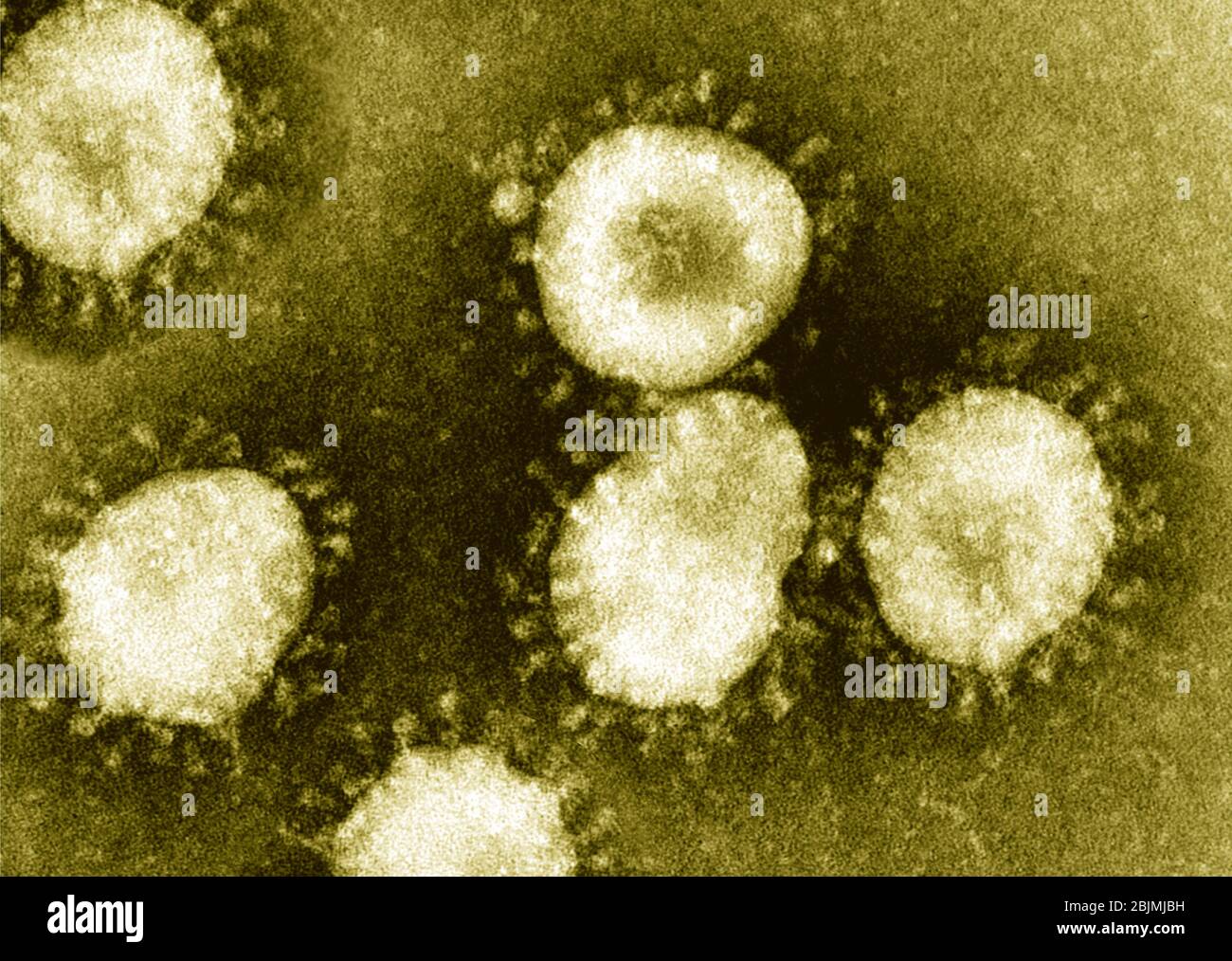 Biology tem -Fotos und -Bildmaterial in hoher Auflösung – Alamy
