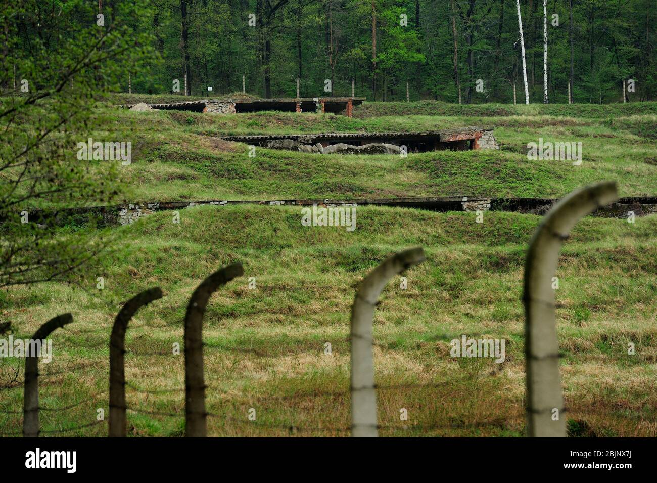 Deutsche Nazi Menschliche Experimente Stockfotos und -bilder Kaufen - Alamy